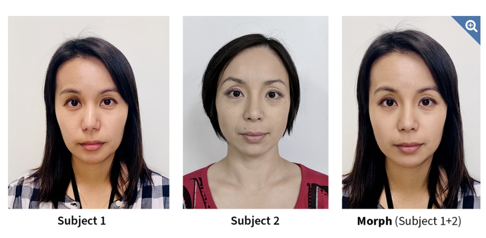 Face Photo Morphing: The Identity Fraud Threat That Could Let Two ...